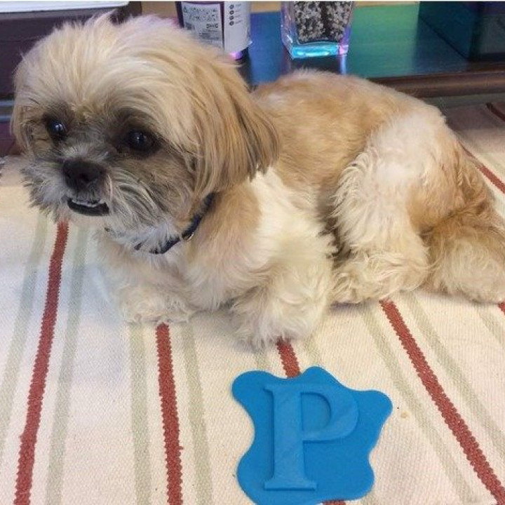 3D Printable Super Funny Hilarious Joke by Ryan Khoo