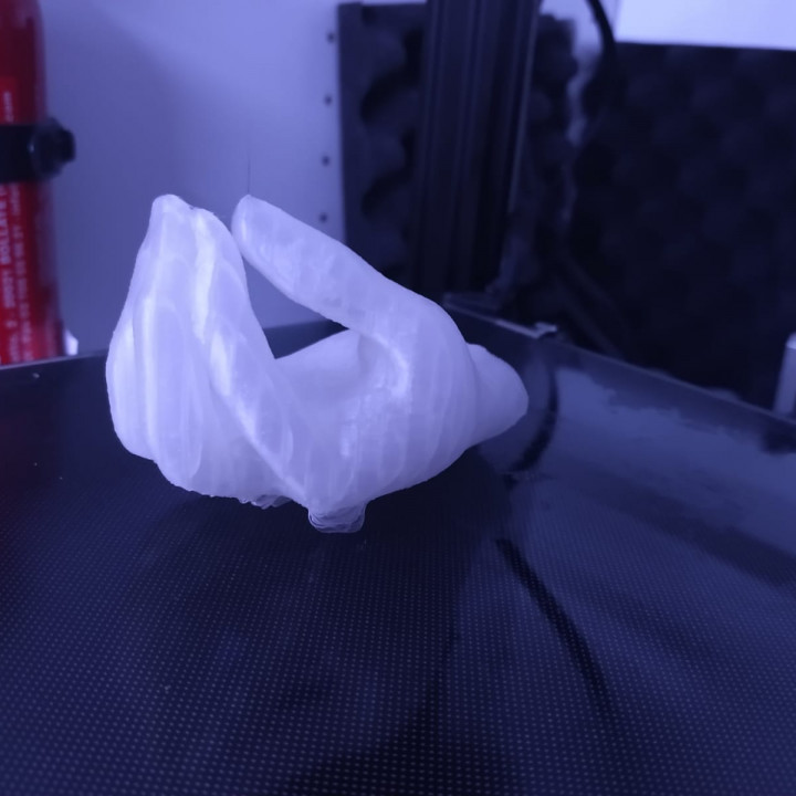 3D Printable Italian hand gesture holder by Enrico Sartori