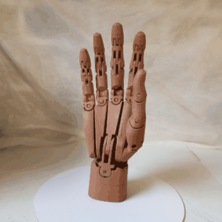 3D Printable Articulated hand - by BA jp