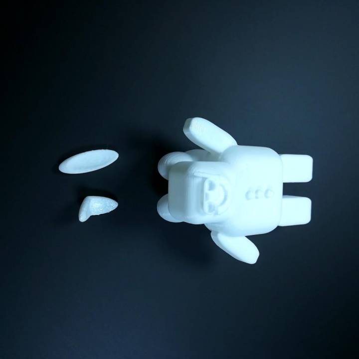 3D Printable Bodacious Maimu by Cole Gordon