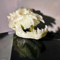 3D Printable Troll Skull by Vox Inaudita