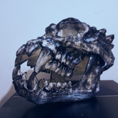 3D Printable Troll Skull by Vox Inaudita