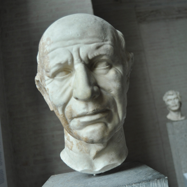 3D Printable Head of a Statue of a Roman by Scan The World