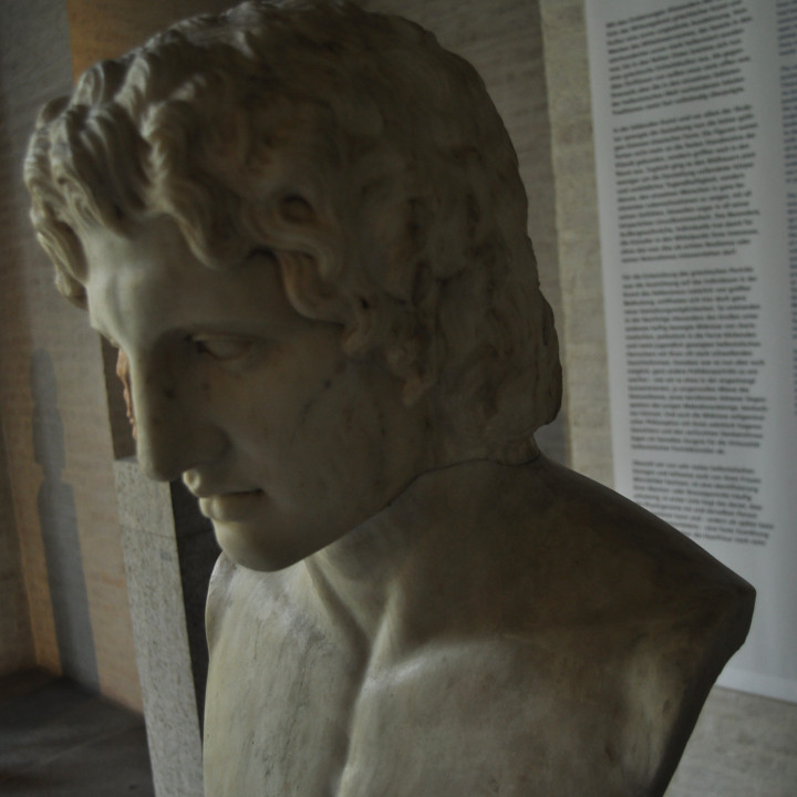 3D Printable Alexander The Great, "Erbach type" by Scan The World