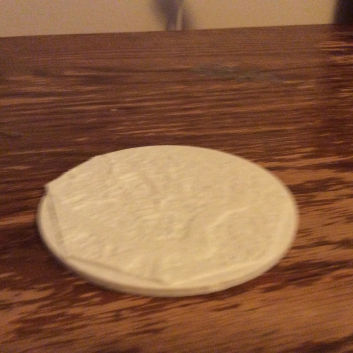 3D Printable Tree Coaster by Caleb Halfond