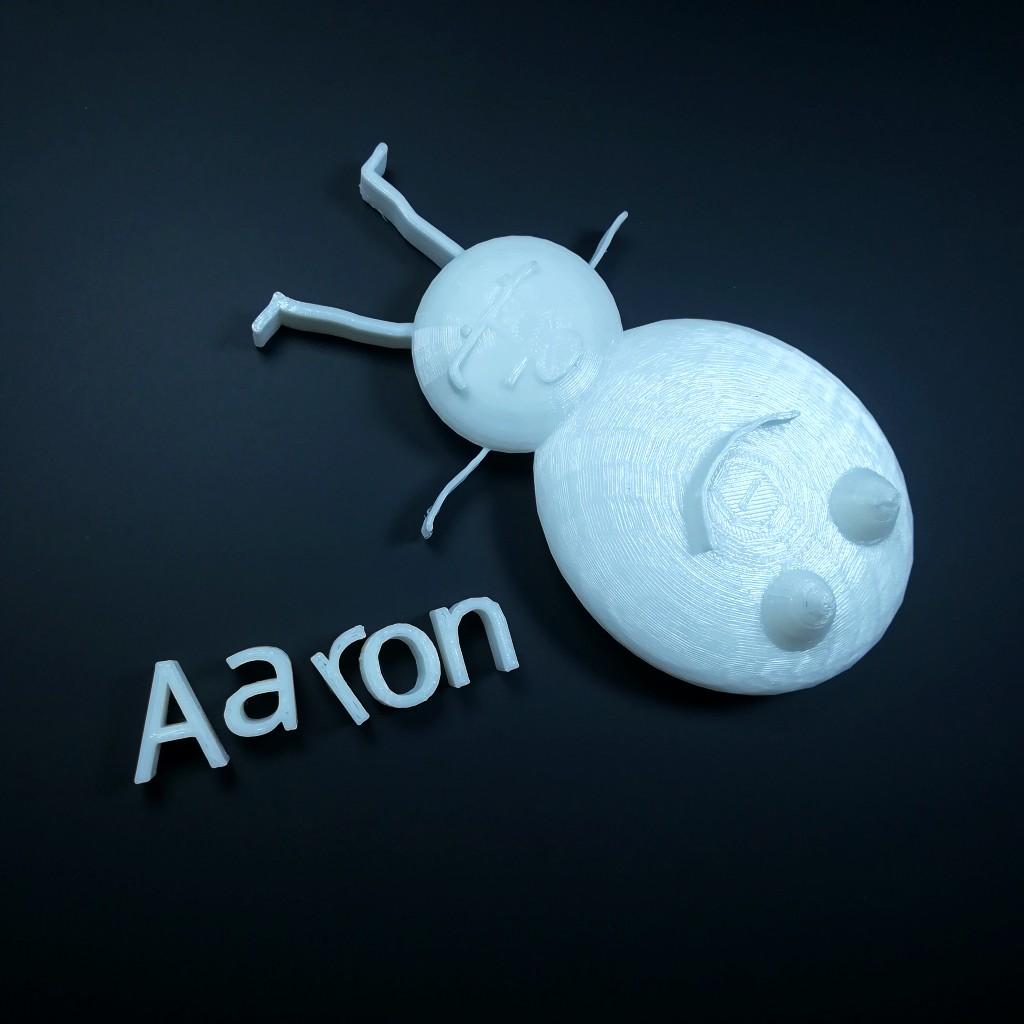 3D Printable Aaron by Atticus Palmer