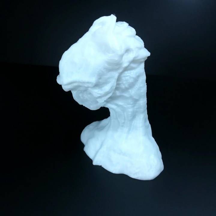 3D Printable Alien Bust by James E. Grant