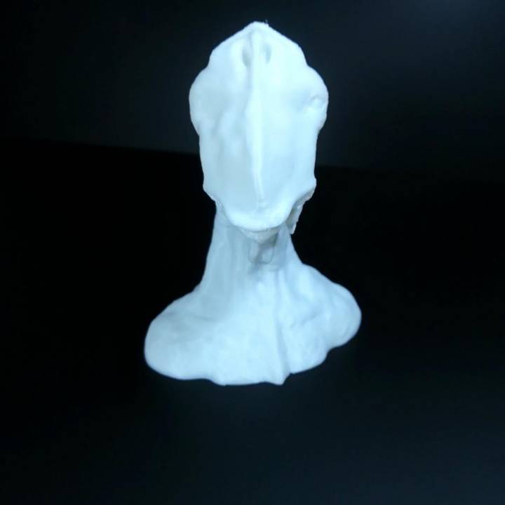 3D Printable Alien Bust by James E. Grant