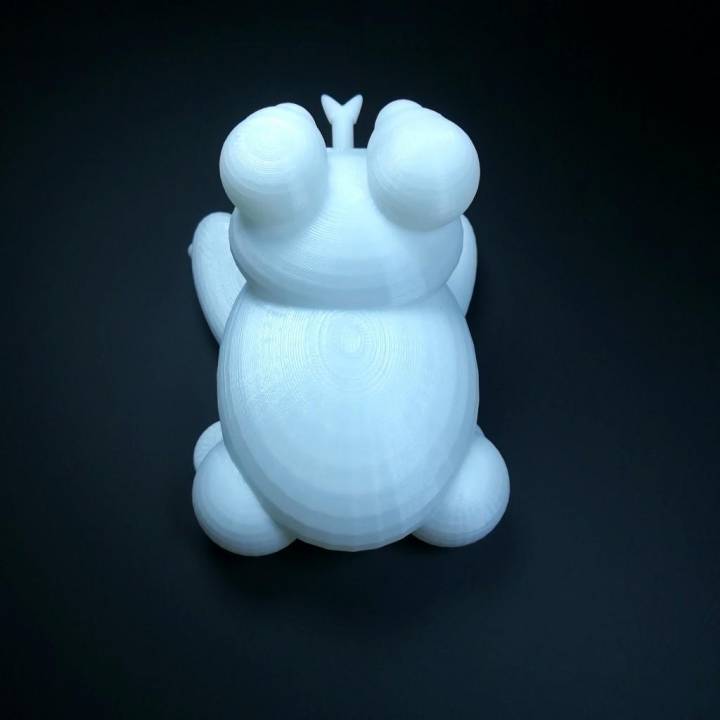 3D Printable Frog by Dylan Chirgwin