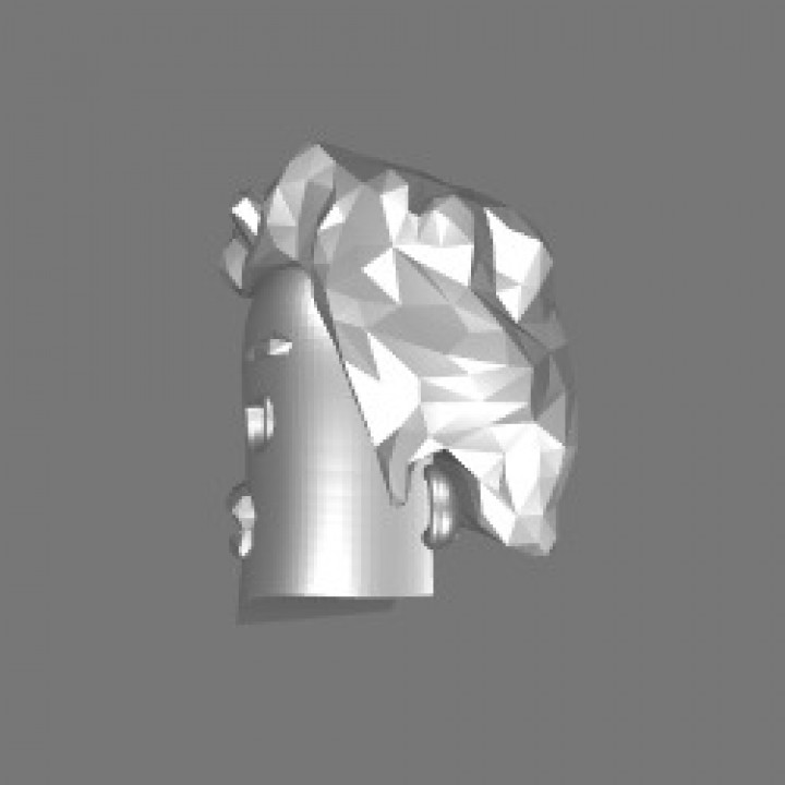 3D Printable Head by Felix Li