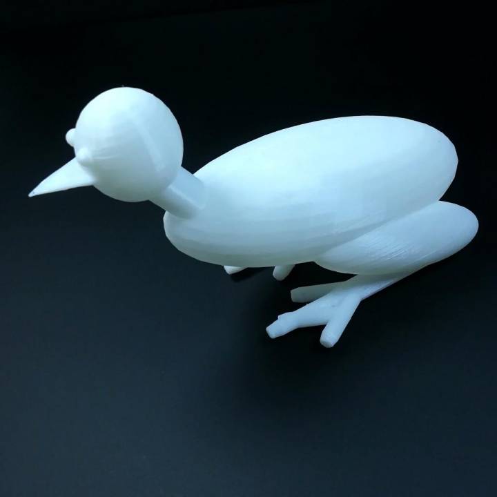 3D Printable Frog Duck by Sebastien Fregeau