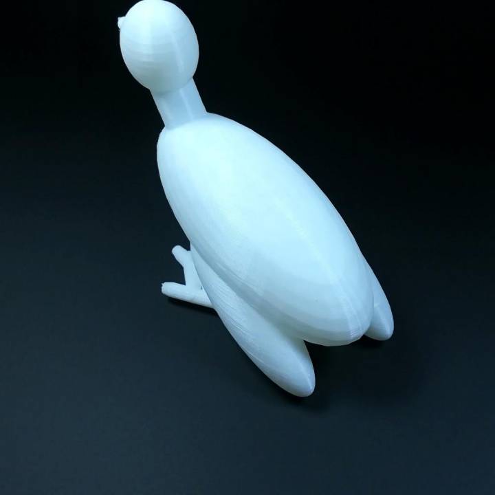 3D Printable Frog Duck by Sebastien Fregeau