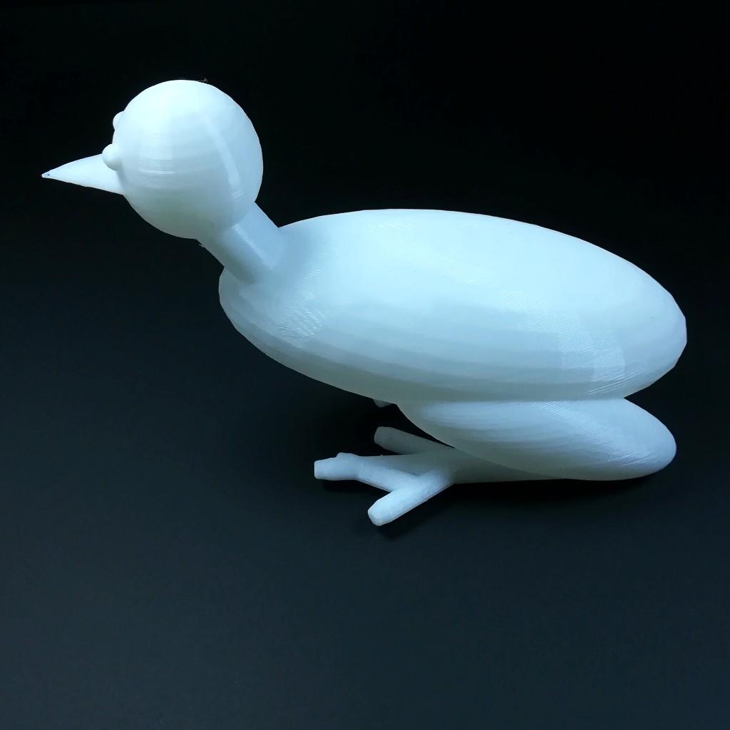3D Printable Frog Duck by Sebastien Fregeau