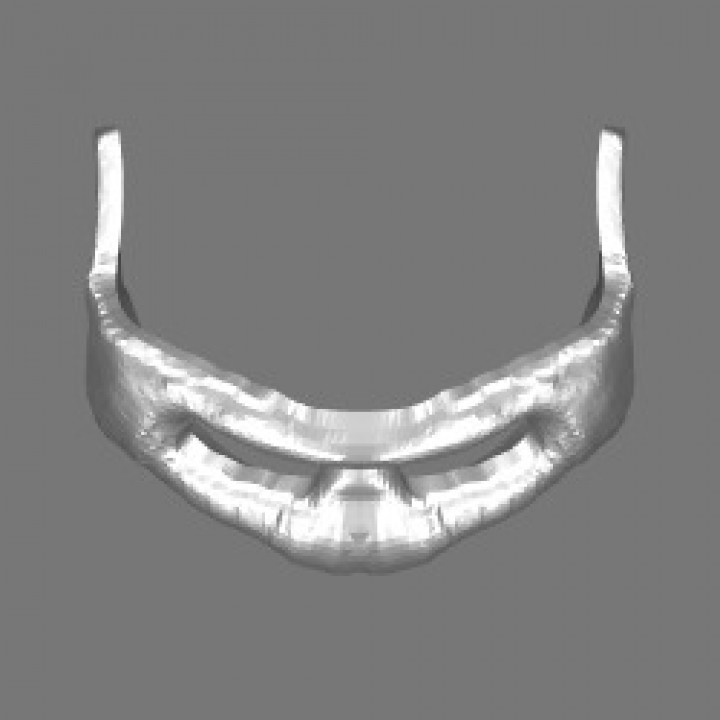 3D Printable Feature_head_beardA_Global by Felix Li