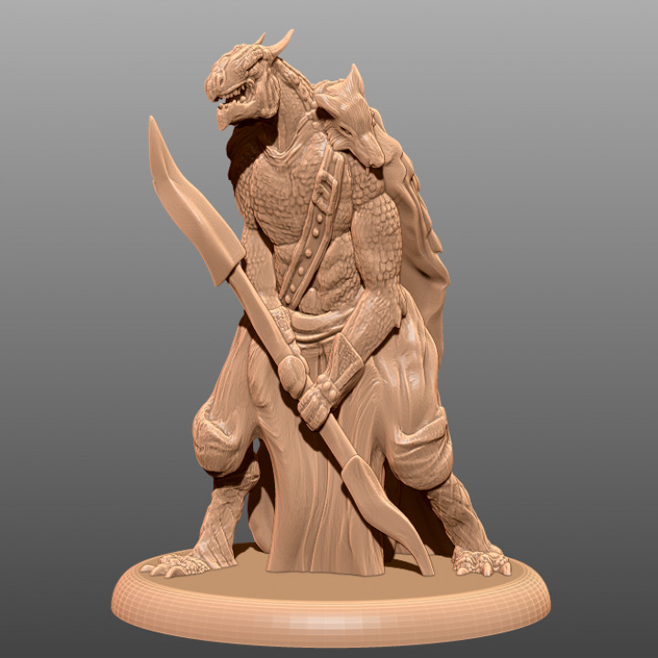 3D Printable Dragonborn by M3DM