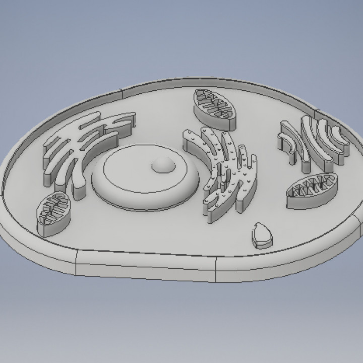 3D Printable 3D animal cell by Chase Alexander Mullins