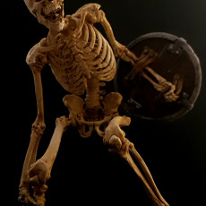 3D Printable Evil Skeleton Warrior by Arminas Didziokas