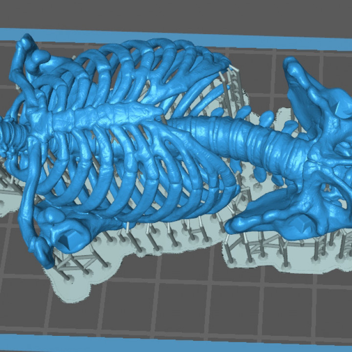 3D Printable Evil Skeleton Warrior by Arminas Didziokas