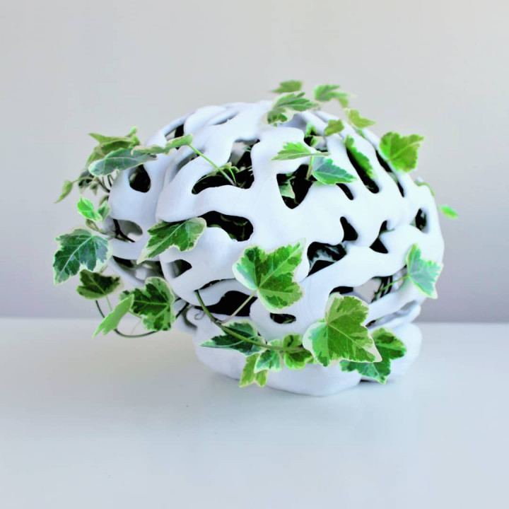 3D Printable Brain Planter by Dr. FemPop