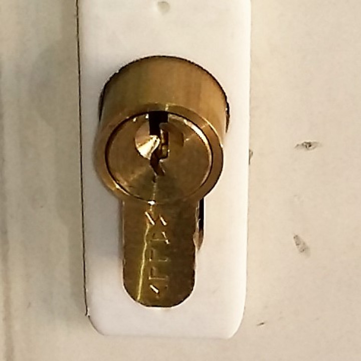 3D Printable Cover Plate Euro profile cylinder Lock by Gianluca Demontis