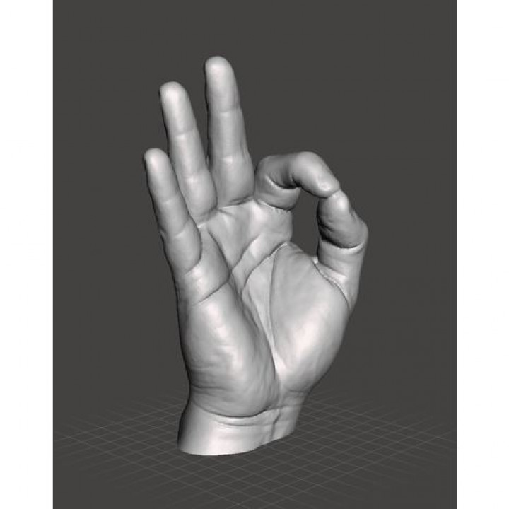 3D Printable Right Hand Model by FilamentOne