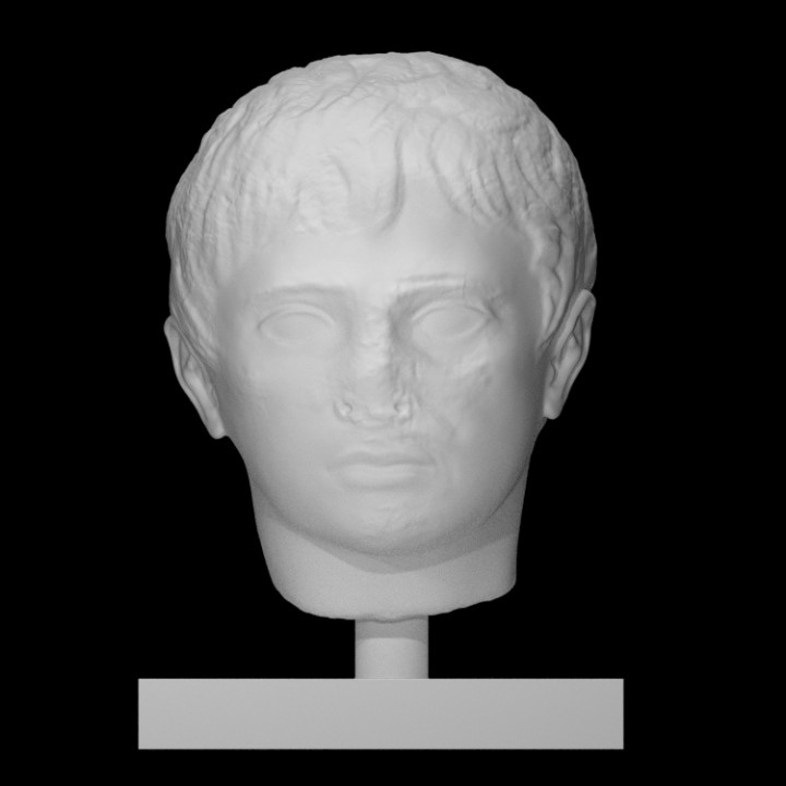 3D Printable Head of Augustus by Scan The World