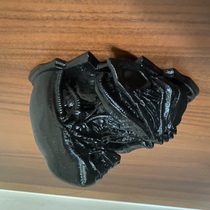 3D Print of Xenomorph Bust Wall Mount by Gaviols