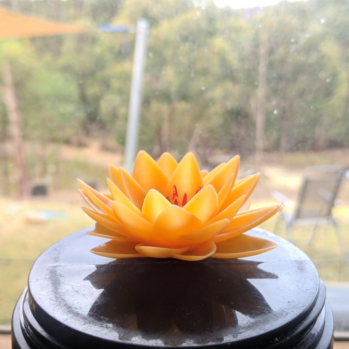 3D Printable Lotus by Nic
