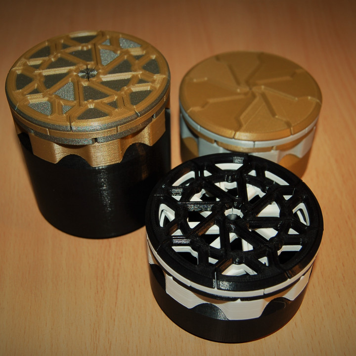 3D Printable Octo-Iris Box by Brien Allison