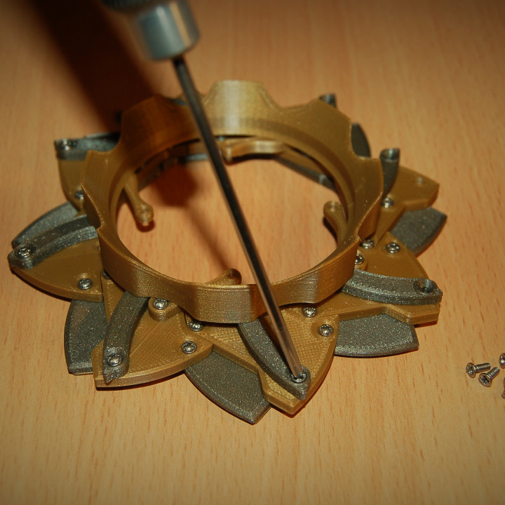 3D Printable Octo-Iris Box by Brien Allison