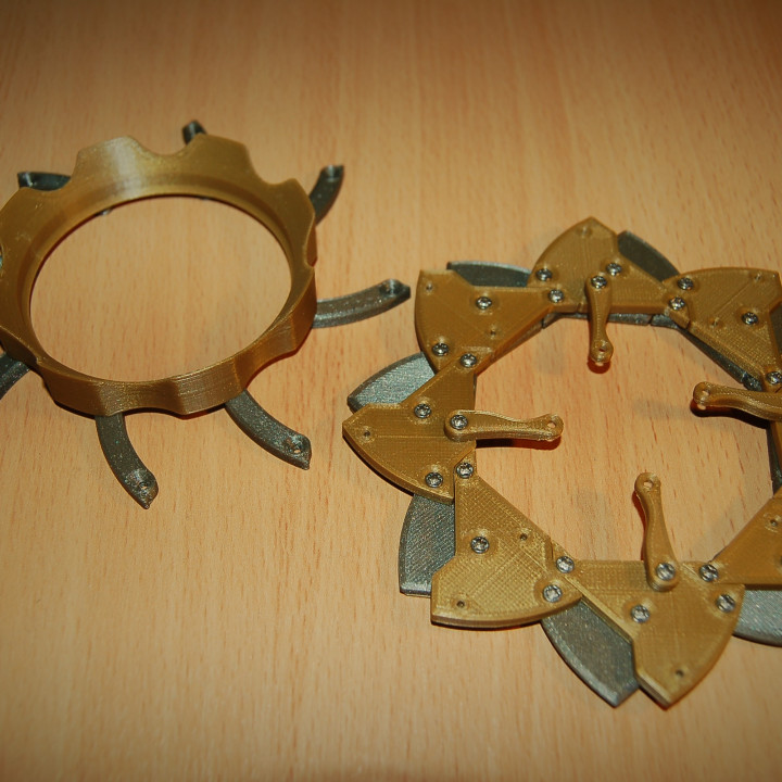 3D Printable Octo-Iris Box by Brien Allison