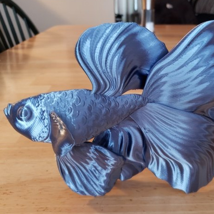 3D Printable Betta Fish by FatesEnd