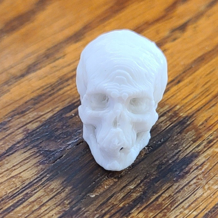 3D Print of Free Detailed Skull by urimikhli