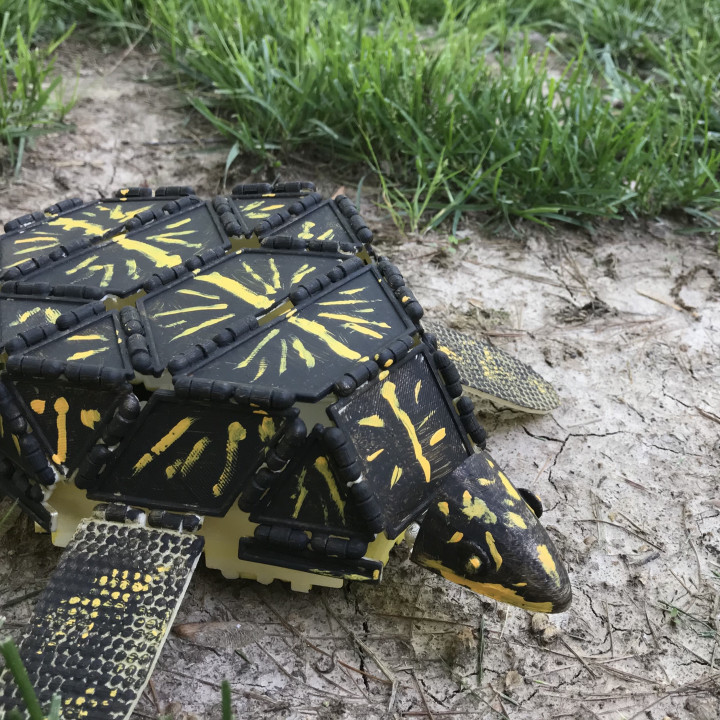 3D Printable Box Turtle by Alyson Palmquist