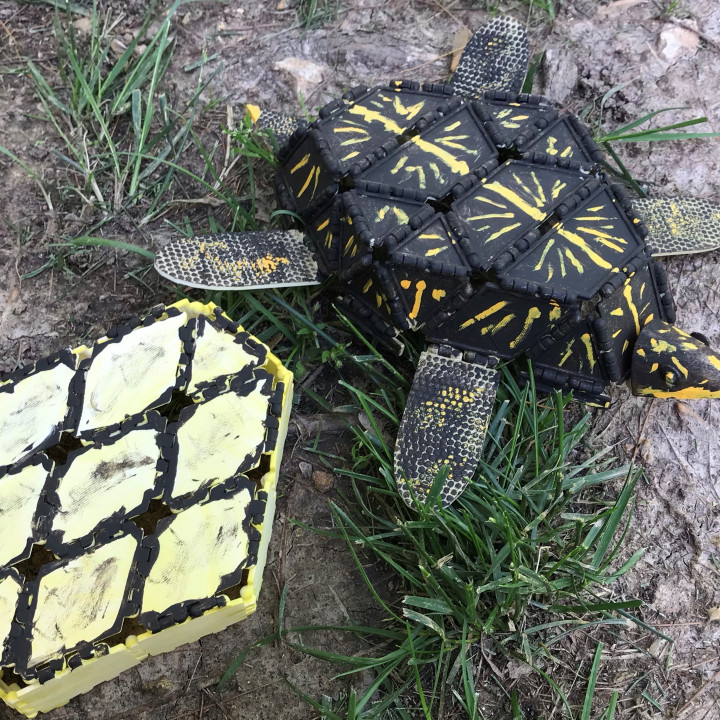 3D Printable Box Turtle by Alyson Palmquist