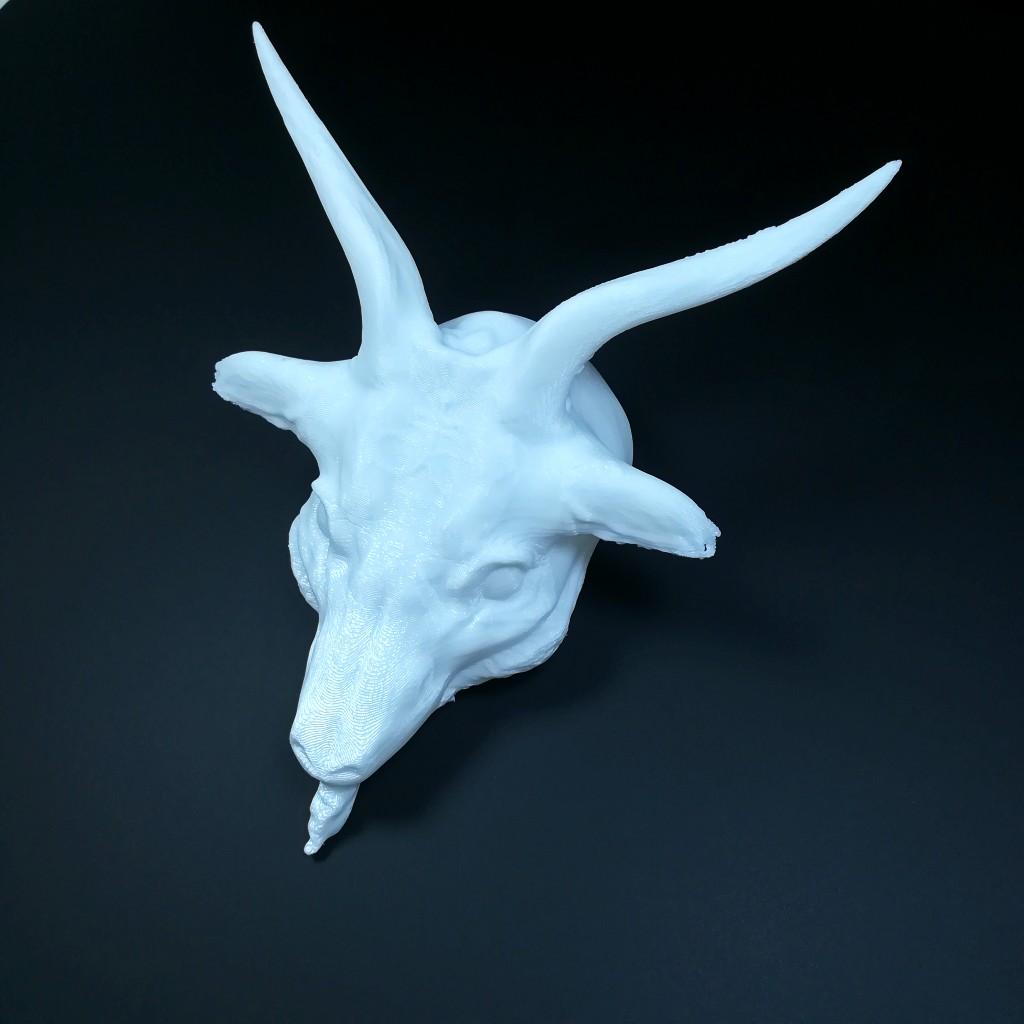 3D Printable Goat by Federico