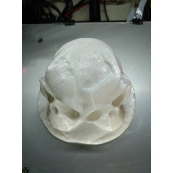 3D Printable Two-faced skull - happy accident by Gary Campbell
