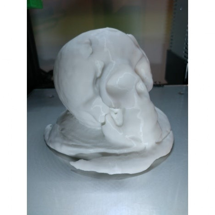 3D Printable Two-faced skull - happy accident by Gary Campbell