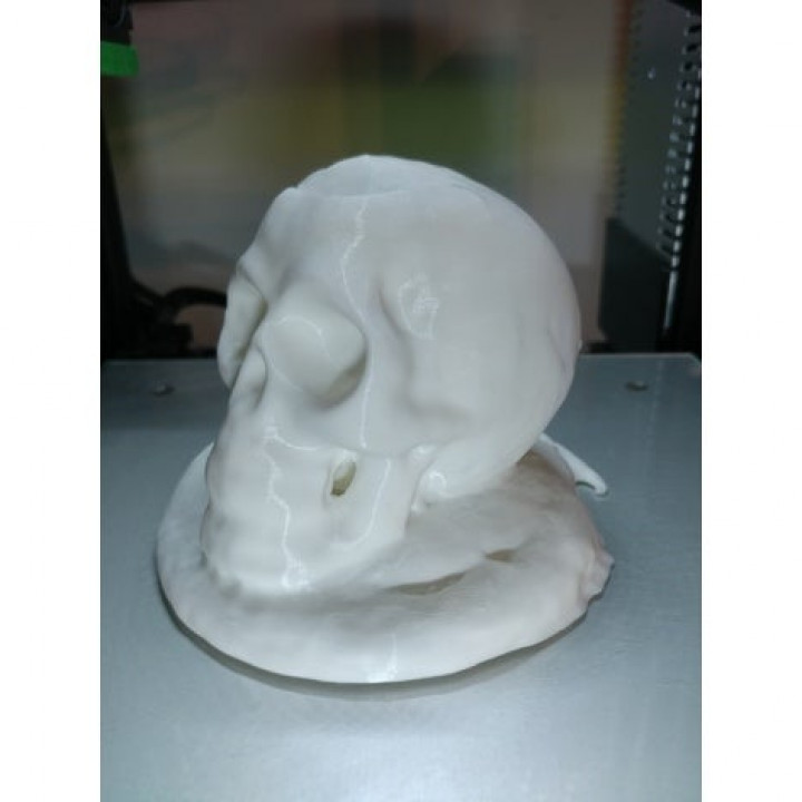 3D Printable Two-faced skull - happy accident by Gary Campbell