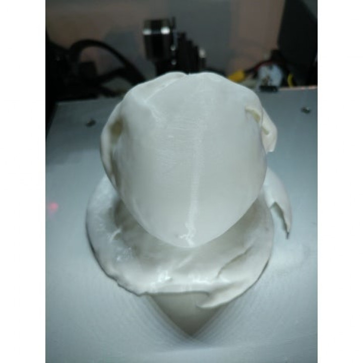 3D Printable Two-faced skull - happy accident by Gary Campbell