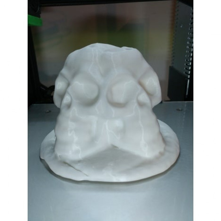 3D Printable Two-faced skull - happy accident by Gary Campbell