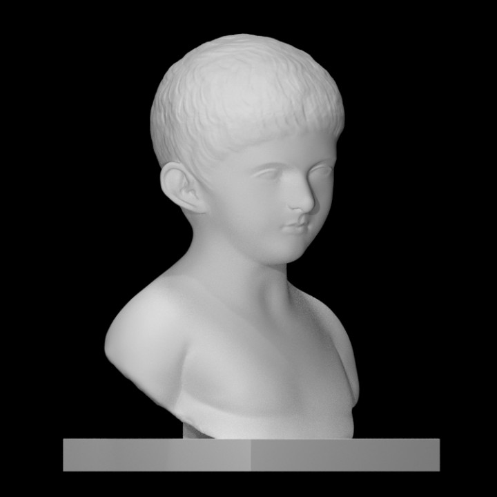 3D Printable Bust of a boy by Scan The World