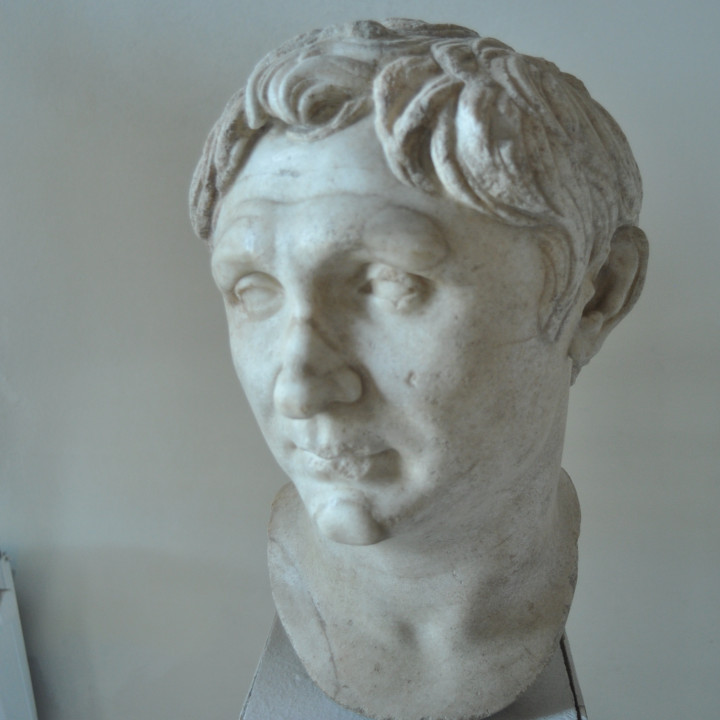 3D Printable Portrait of Pompey the Great by Scan The World