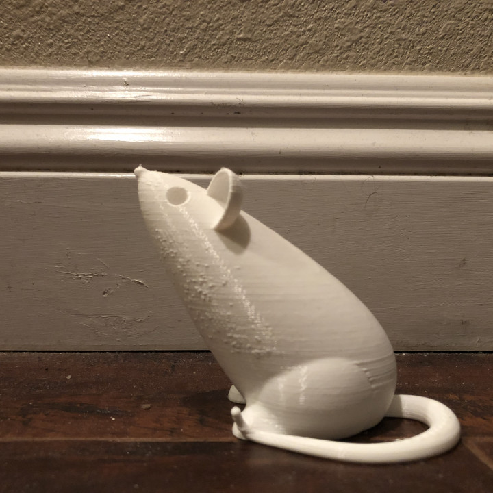 3D Printable Lil' Mouse by Jacob Surovsky
