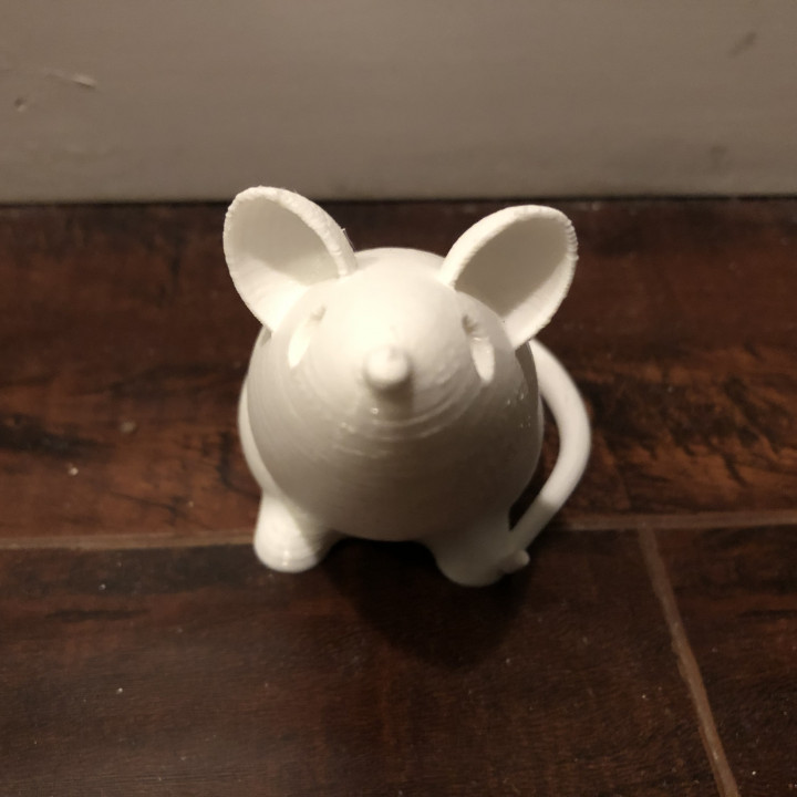 3D Printable Lil' Mouse by Jacob Surovsky