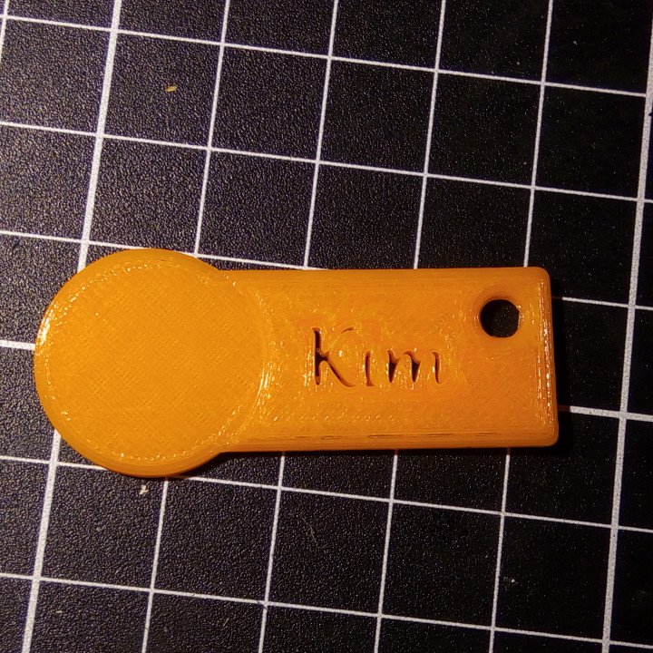 3D Printable Trolley Token by nuggs