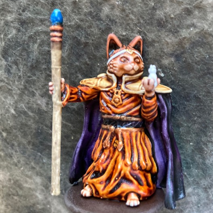 3D Print of Cat Mage by hightider