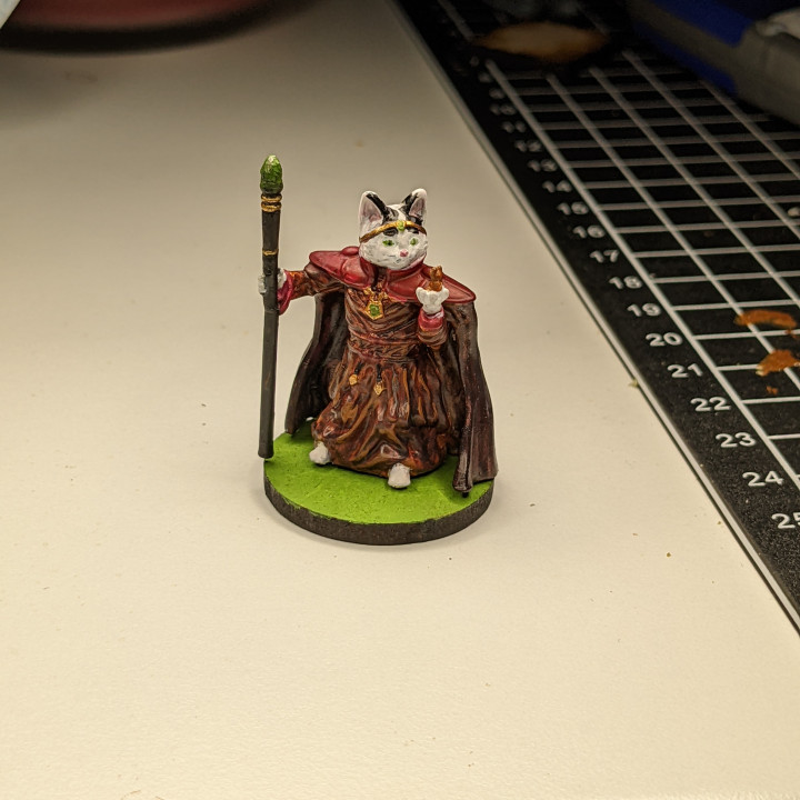 3D Print of Cat Mage by bendavies1