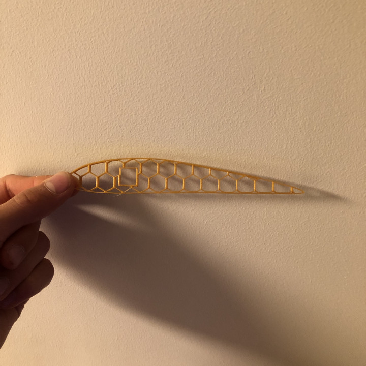 3D Printable Rc airplane wing rib by Owen Fantuzzi