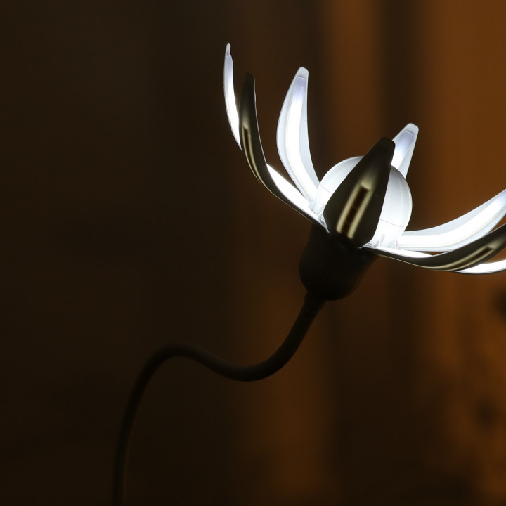 3D Printable Flola - Design Lamp by Vít Rychlý